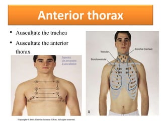 Physical examination thorax and lungs | PPTX