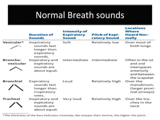 Physical examination thorax and lungs | PPTX