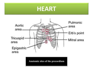 Physical examination thorax and lungs | PPTX