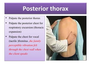 Physical examination thorax and lungs | PPTX
