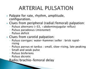 Physical examination of the heart | PPTX