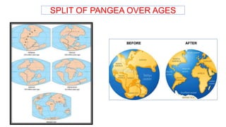 PHYSICAL FEATURES OF INDIA-PPT (1) 1.pptx