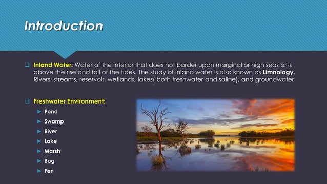 Physical Features of inland Water Environment.pdf | Weather | Science