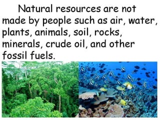 Physical features of the Philippines | PPTX