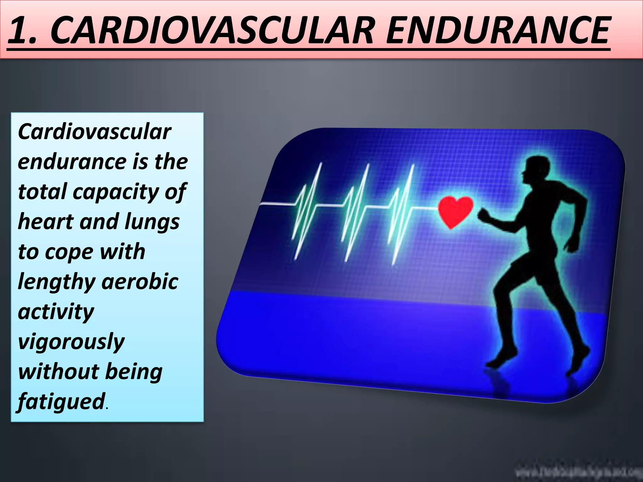 Physical fitness | PDF