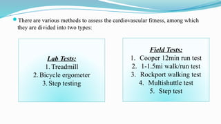Physical fitness assessment | PDF