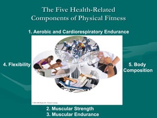 Physical fitness assessment | PPT