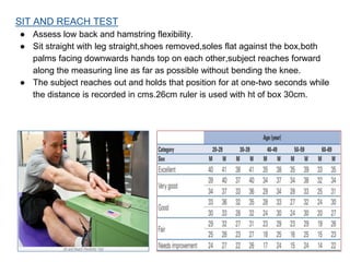 Acsm Sit And Reach Norms