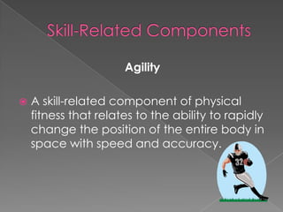 Physical fitness components | PPTX | Fitness and Exercise | Healthy Living