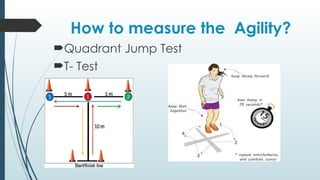 physical fitness components and notes ppt | PPTX | Fitness and Exercise ...
