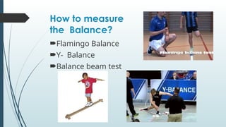 physical fitness components and notes ppt | PPTX | Fitness and Exercise ...