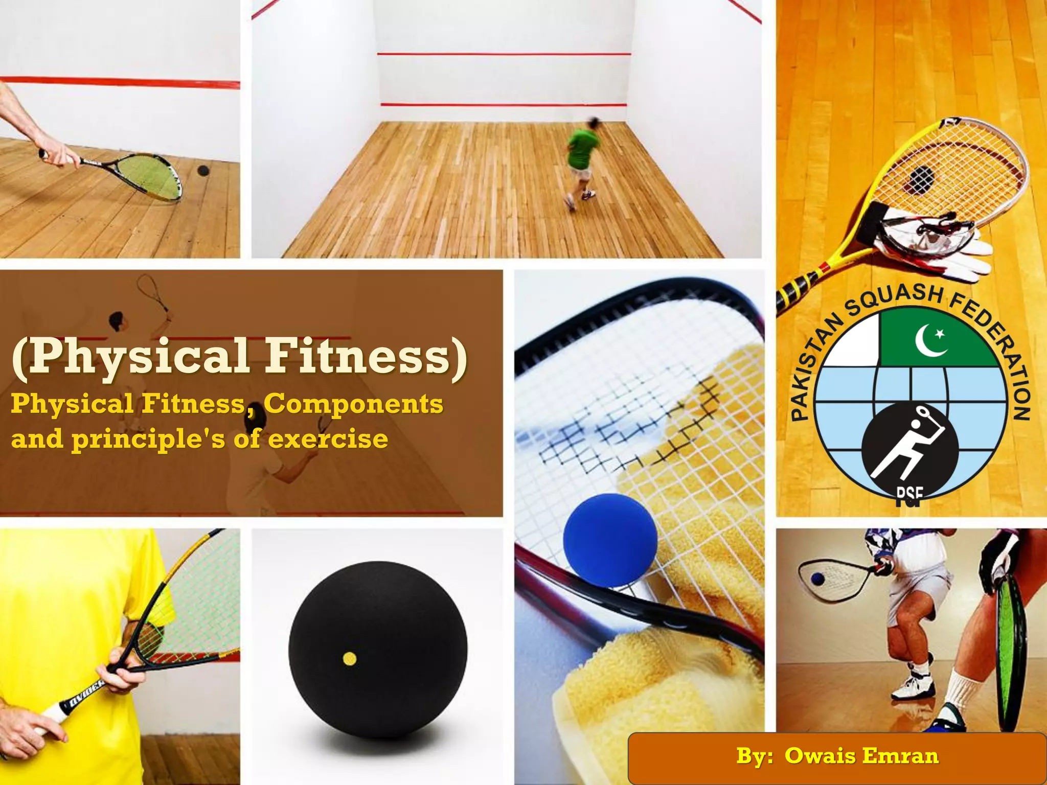 Physical Fitness Components and Principal of Exercise presentation | PDF