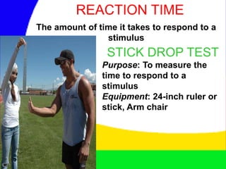 PHYSICAL FITNESS TEST.pptx | Bodybuilding | Sports