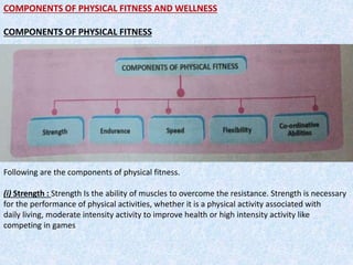 Physical fitness, wellness and lifestyle physical education Class XI ...
