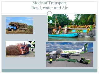 Physical functions of marketing | PPTX