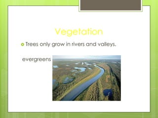 Physical geography of canada | PPTX