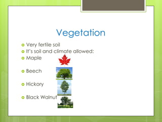 Physical geography of canada | PPTX