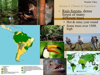 Physical geography of latin america | PPT