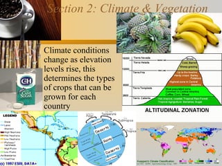 Physical geography of latin america | PPT