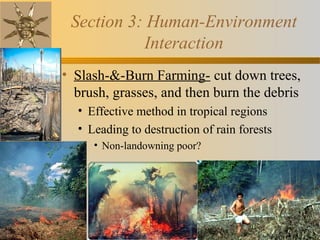 Physical geography of latin america | PPT