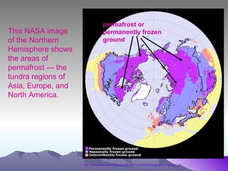 Physical geography of russia andcentralasia | PPT