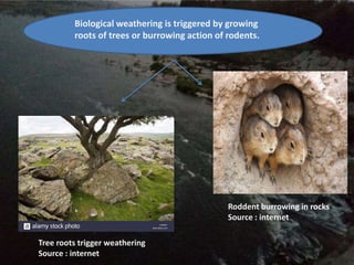 Physical geology copy | PPTX