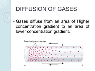 Physical laws related to gases (The Guyton and Hall physiology) | PPTX