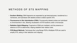 physical mapping- restriction map, STS map, EST map | PPTX