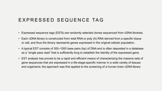 physical mapping- restriction map, STS map, EST map | PPTX