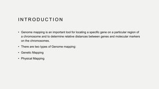 physical mapping- restriction map, STS map, EST map | PPTX