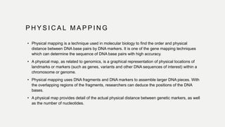 physical mapping- restriction map, STS map, EST map | PPTX