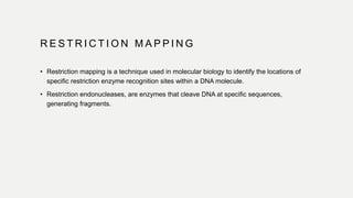 physical mapping- restriction map, STS map, EST map | PPTX