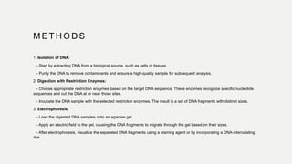 physical mapping- restriction map, STS map, EST map | PPTX