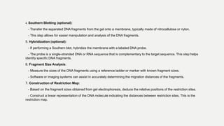 physical mapping- restriction map, STS map, EST map | PPTX