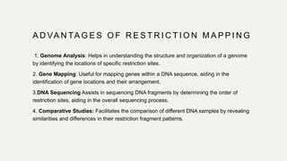 physical mapping- restriction map, STS map, EST map | PPTX