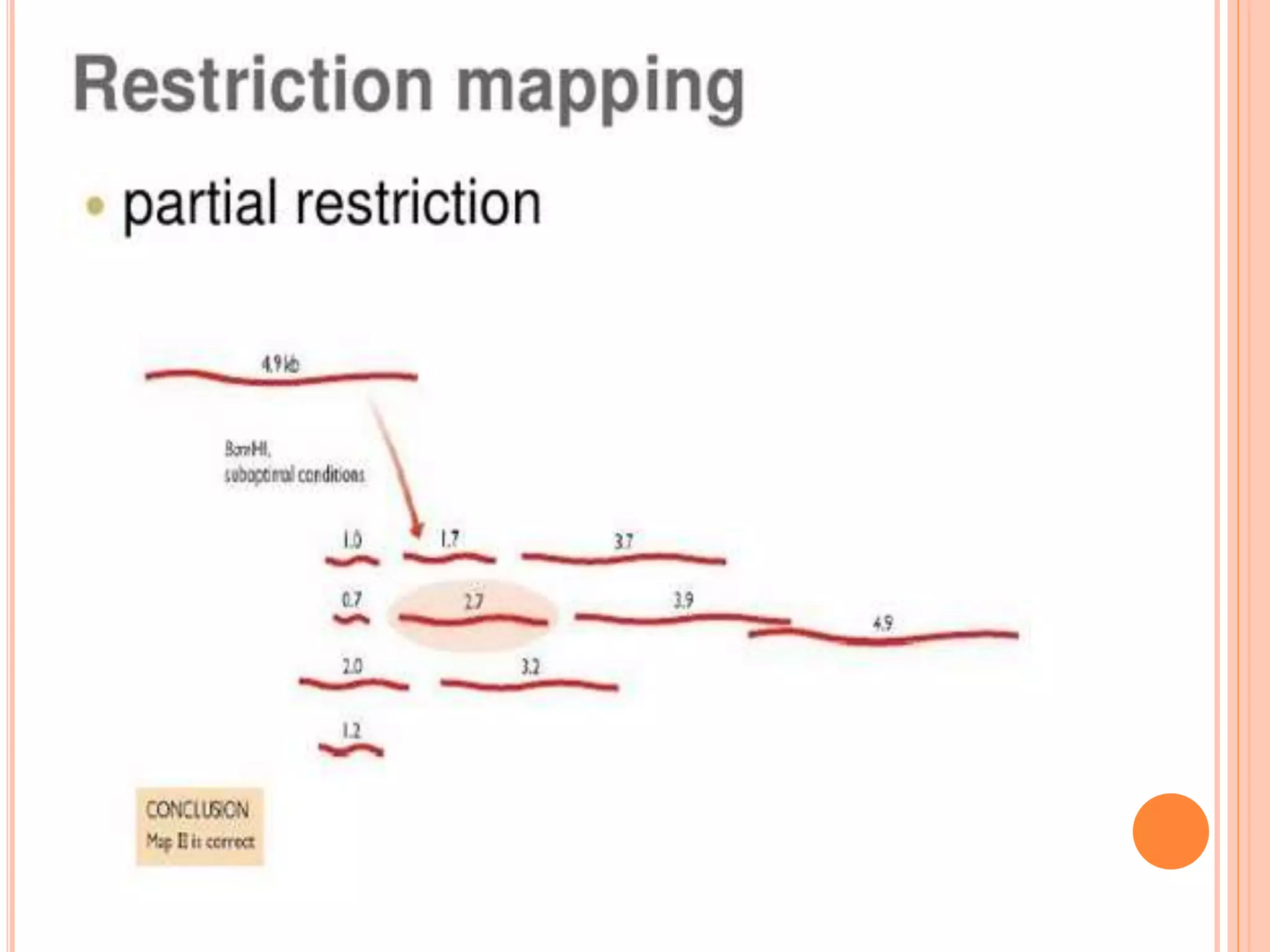 Physical mapping | PPTX