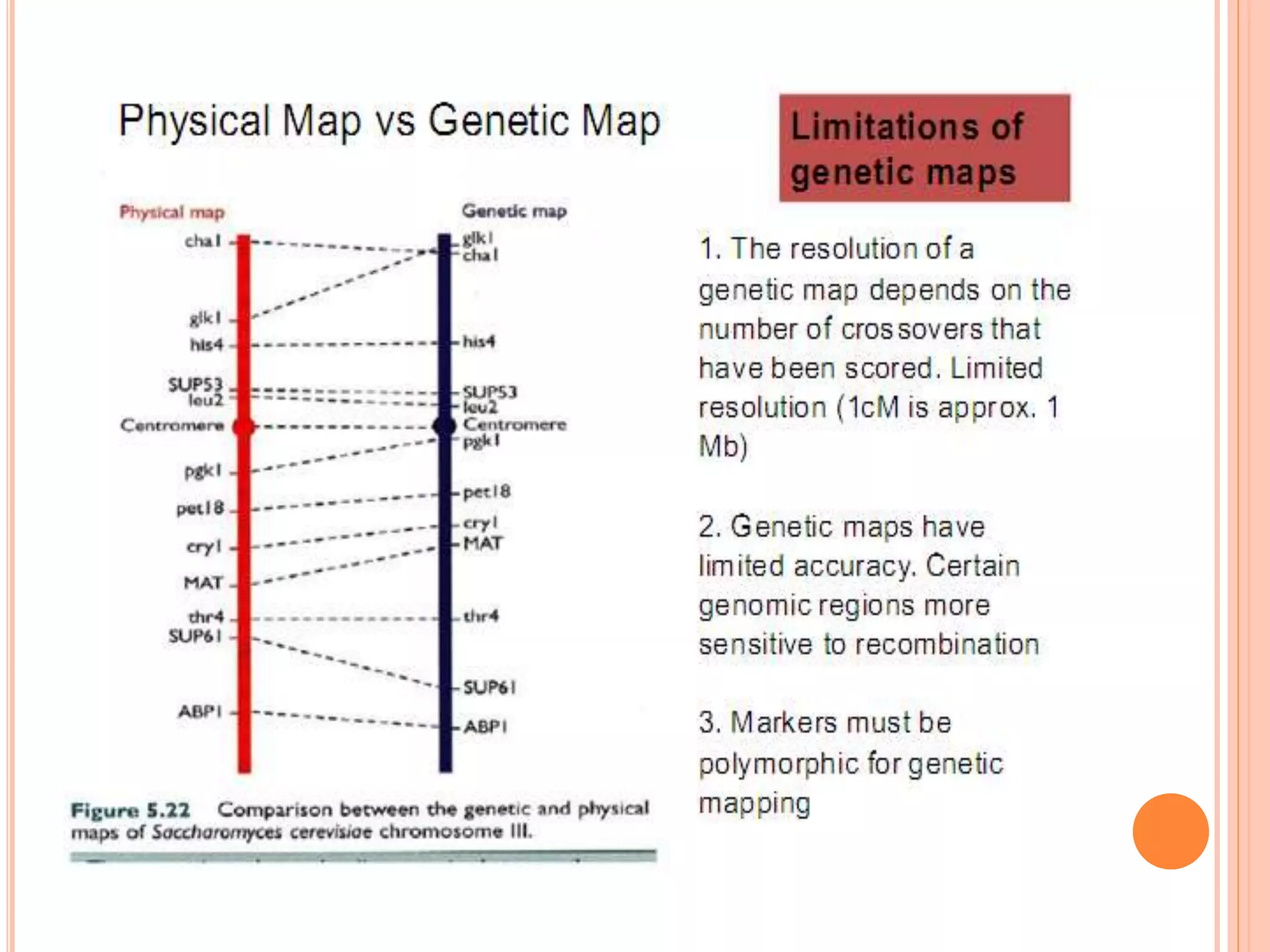 Physical mapping | PPTX
