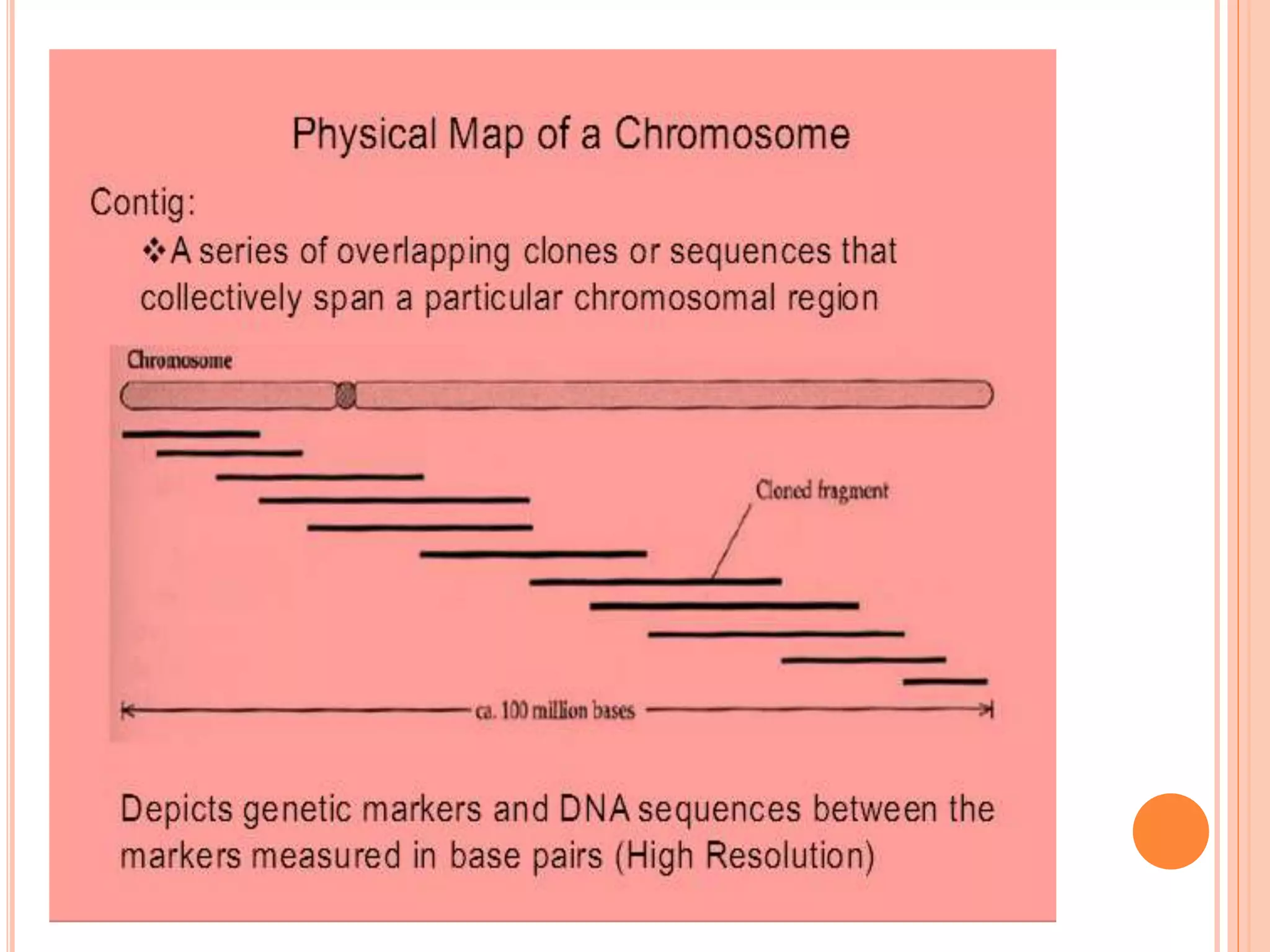 Physical mapping | PPTX