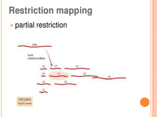 Physical mapping | PPTX