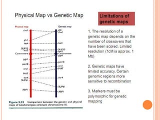 Physical mapping | PPTX