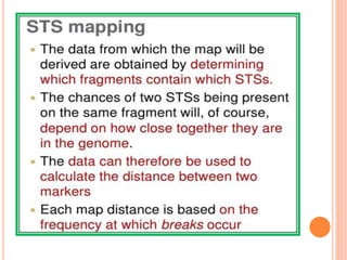 Physical mapping | PPT