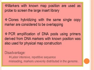 Physical mapping | PPT