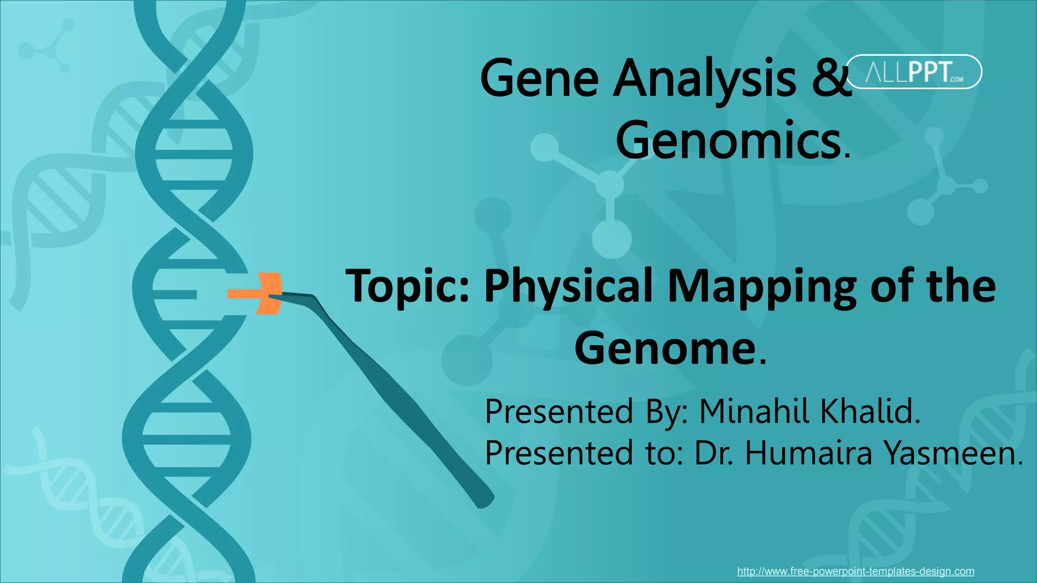 Physical mapping of genome.pdf