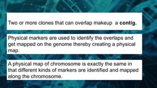 Physical mapping of genome.pdf