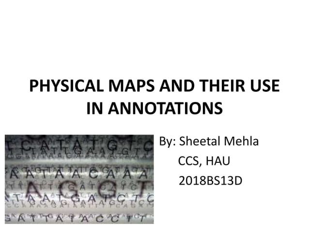 Physical maps and their use in annotations | PPTX | Genetics | Science