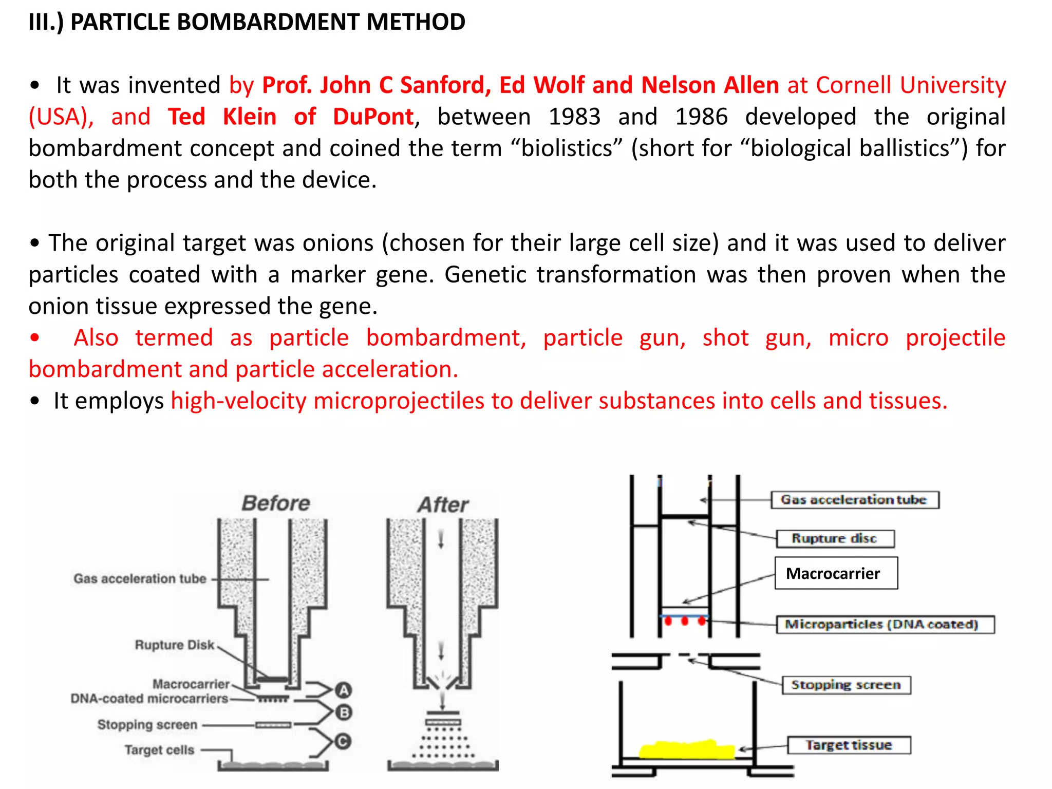 Physical method of transformation | PDF