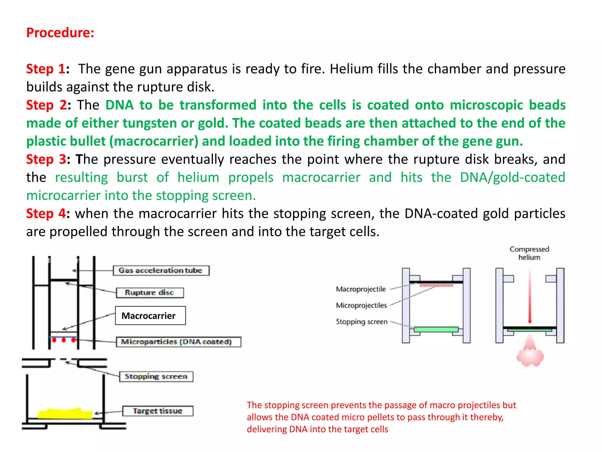 Physical method of transformation | PDF