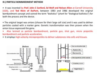 Physical method of transformation | PDF
