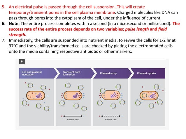 Physical method of transformation | PDF