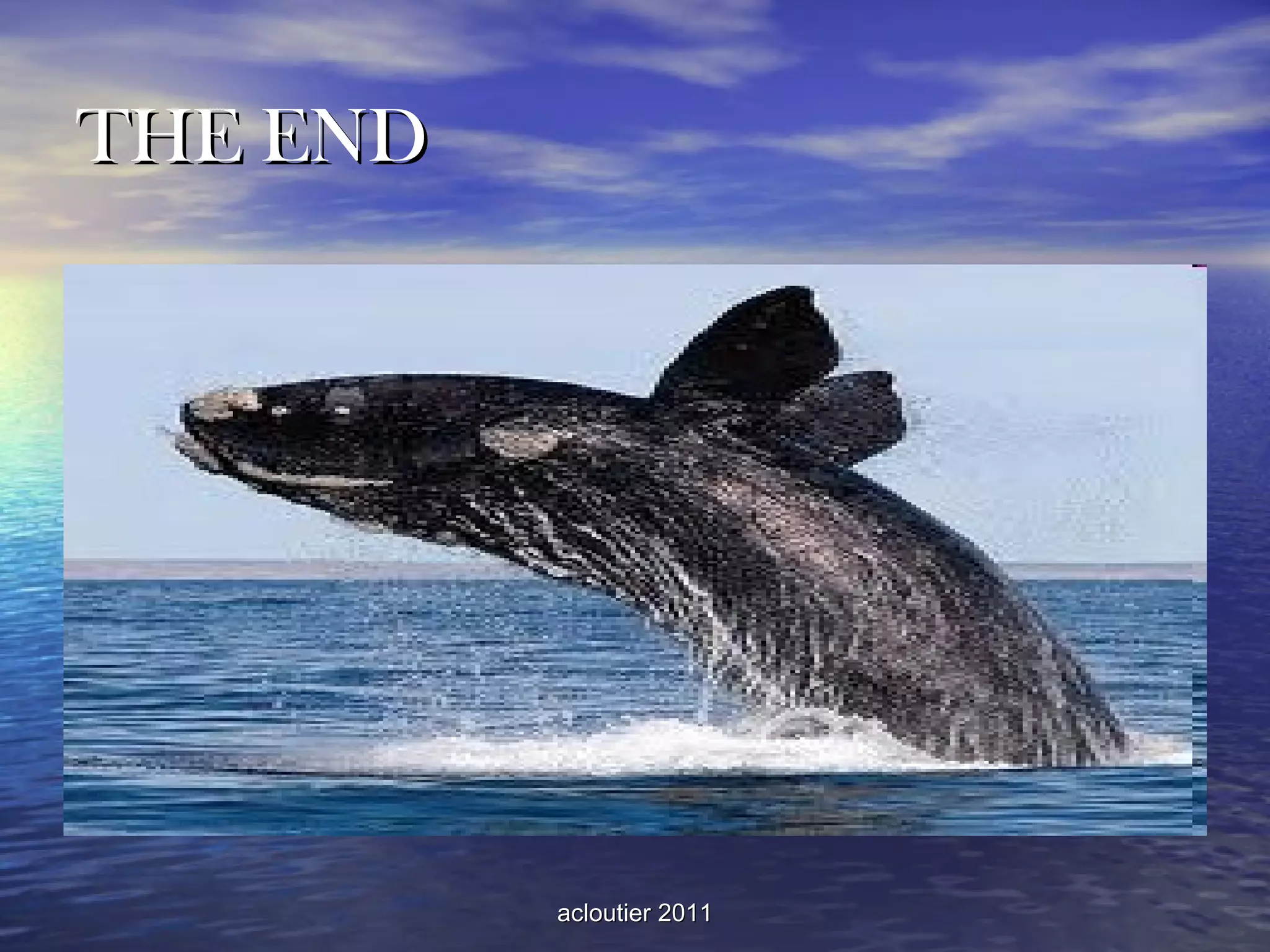 Physical Oceanography & Coastal Shoreline 2011 | PPT | Geography | Science